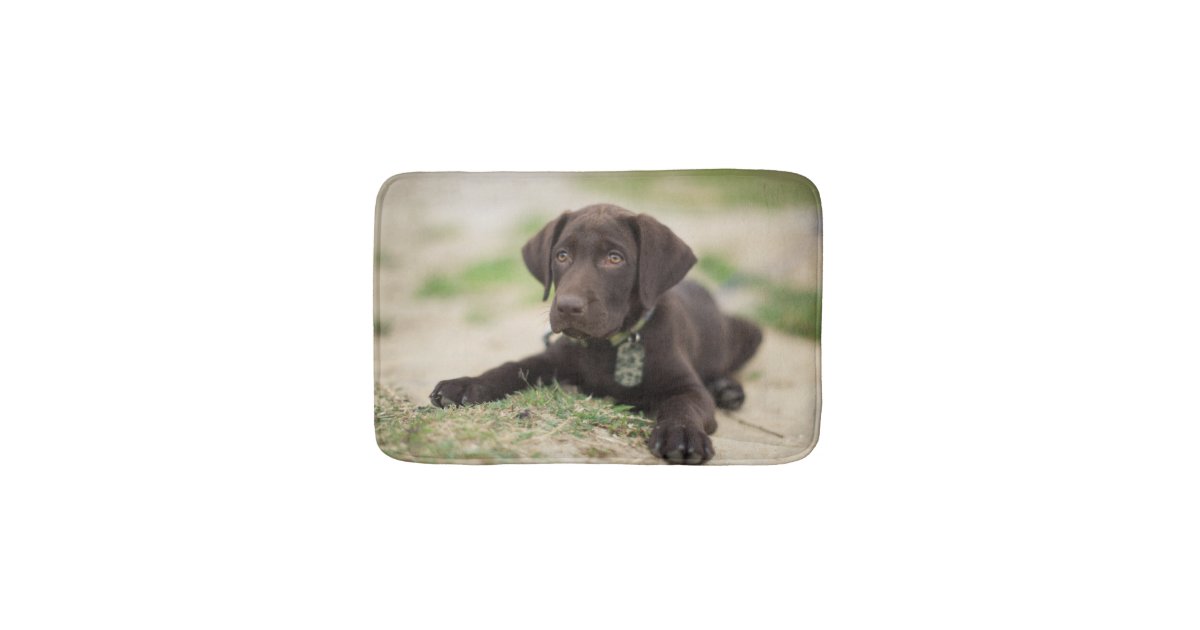 Chocolate Lab Puppy Bath Mat | Zazzle