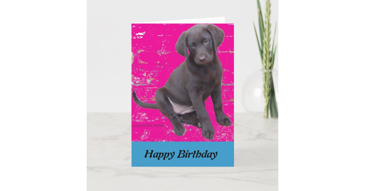 chocolate lab puppy birthday card | Zazzle