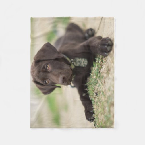 Chocolate Lab Puppy Fleece Blanket | Zazzle
