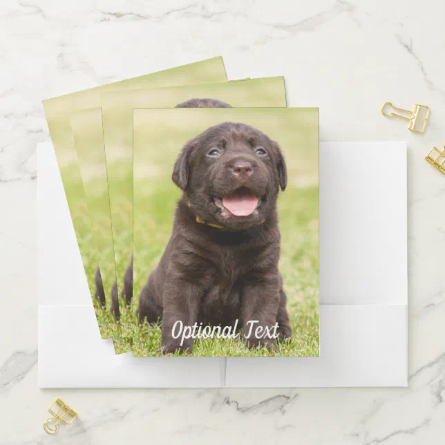 Chocolate Lab Puppy Pocket Folder | Zazzle