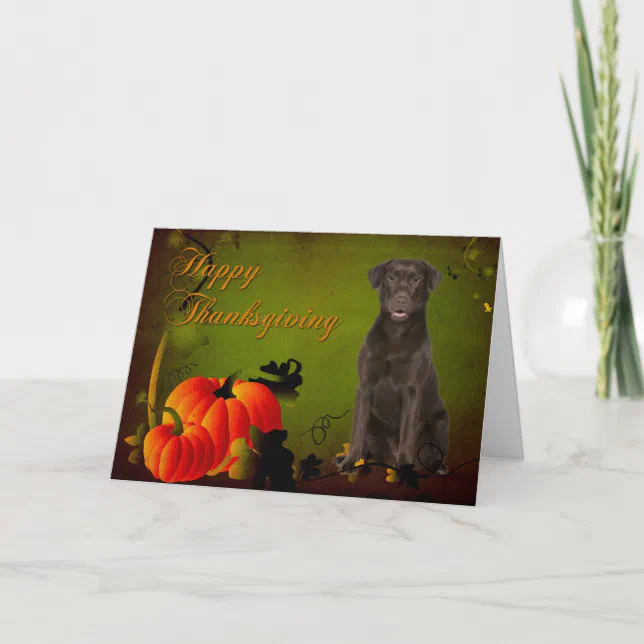 Chocolate Lab Thanksgiving Card | Zazzle