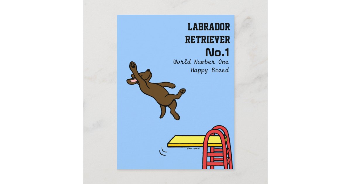 Chocolate Labrador Diving Cartoon Postcard | Zazzle
