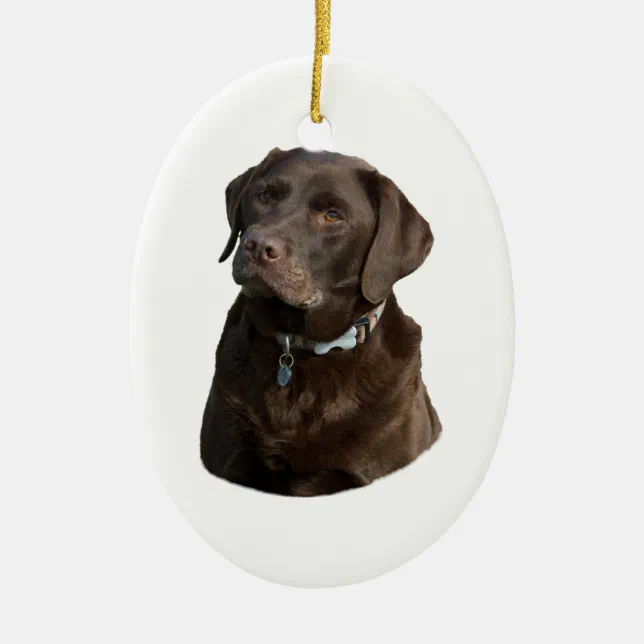 Chocolate Labrador dog photo portrait Ceramic Ornament | Zazzle