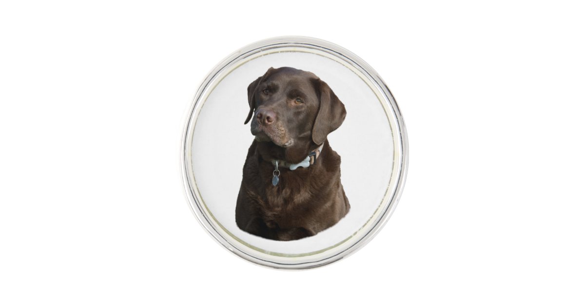 Chocolate Labrador dog photo portrait Lapel Pin | Zazzle.com
