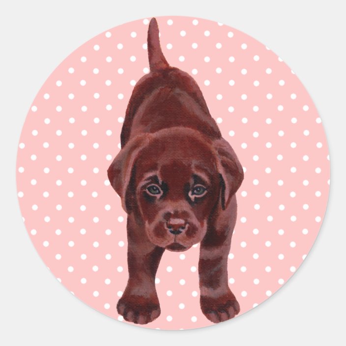 Chocolate Labrador Puppy Classic Round Sticker | Zazzle.com