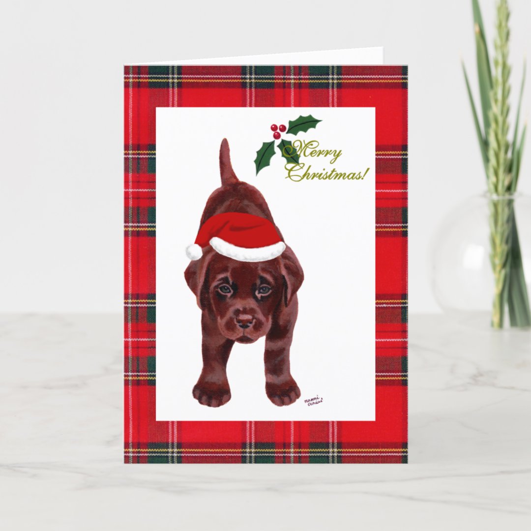 Chocolate Labrador Retriever Christmas Card | Zazzle