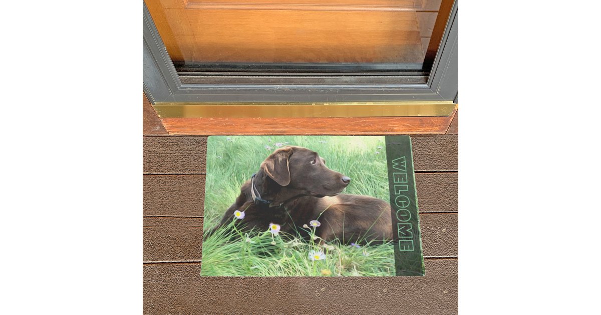Chocolate Labrador Retriever Dog In Grass Flowers Doormat | Zazzle