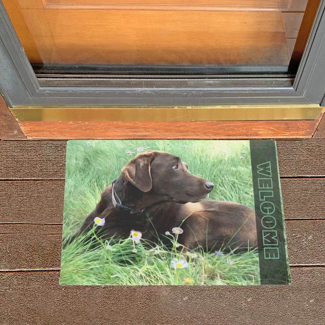 Chocolate Labrador Retriever Dog In Grass Flowers Doormat | Zazzle