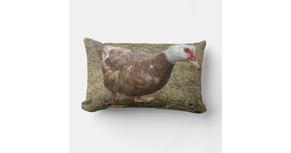 Chocolate Muscovy Duck Throw Pillow | Zazzle