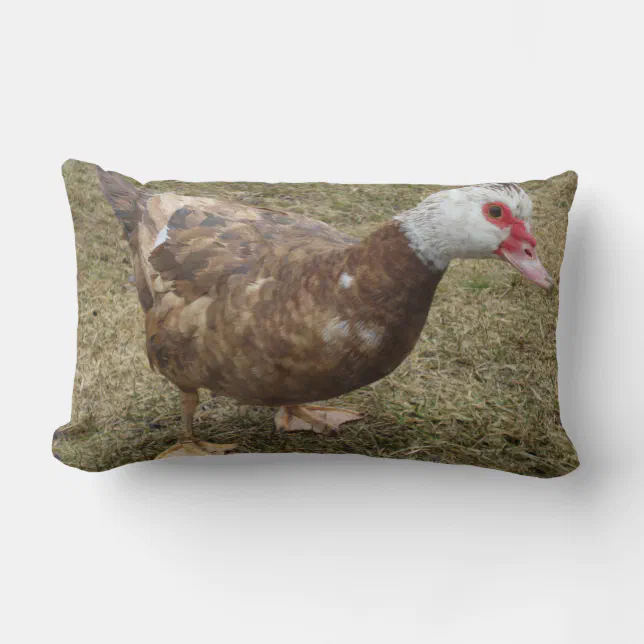 Chocolate Muscovy Duck Throw Pillow | Zazzle