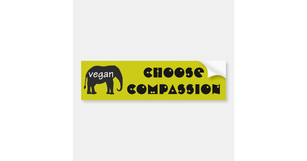Choose Compassion Bumper Sticker | Zazzle
