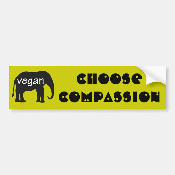 Choose Compassion Bumper Sticker | Zazzle