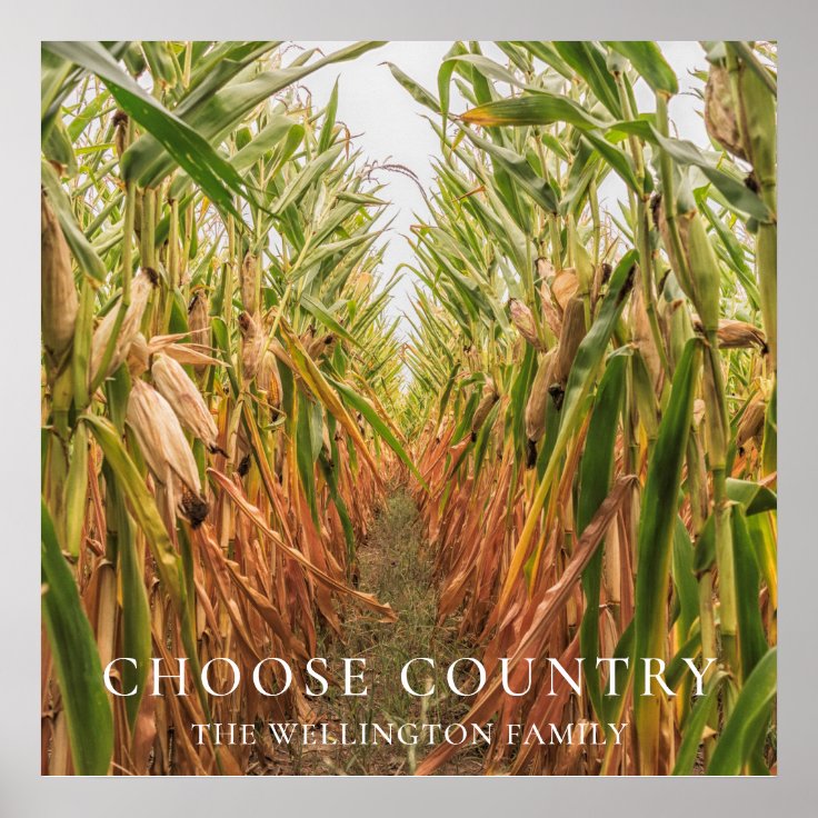 Choose Country Quote Corn Row Photo Poster | Zazzle