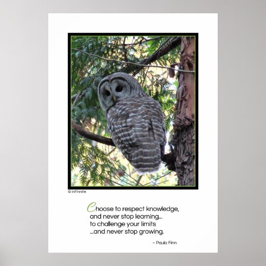Choose to respect knowledge...motivational poster | Zazzle.com