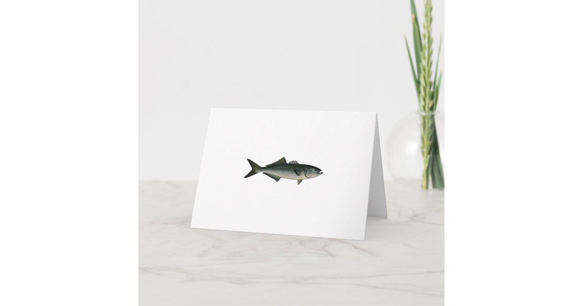 Chopper Bluefish Card | Zazzle