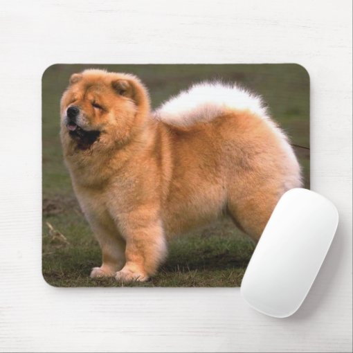 Chow Chow Dog Mouse Pad | Zazzle