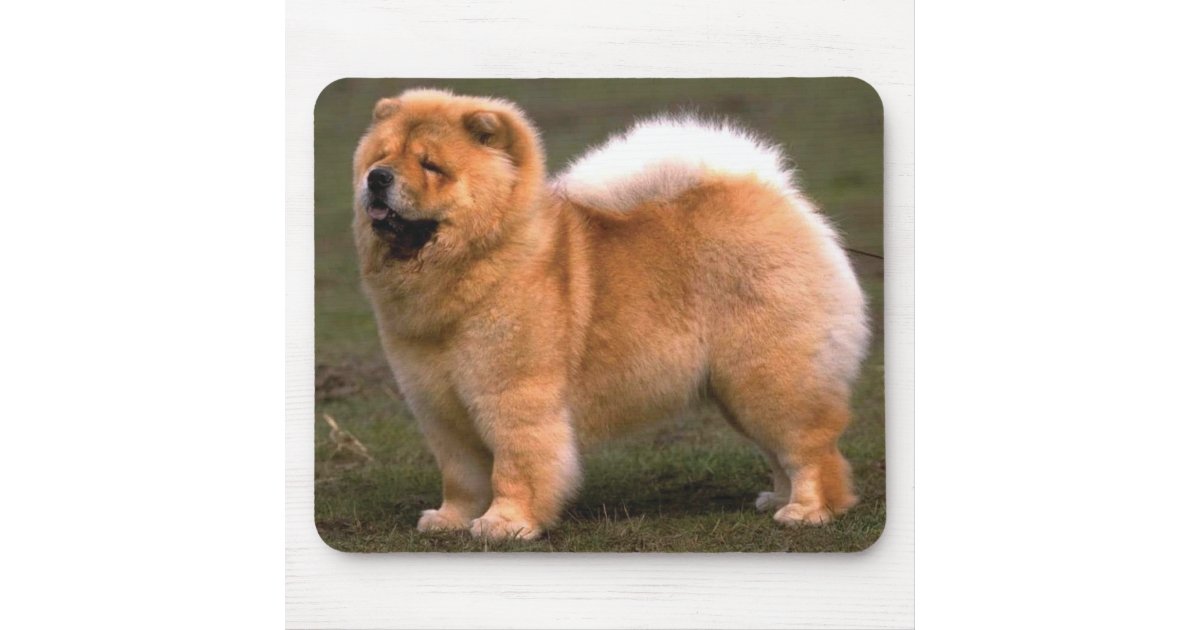 Chow Chow Dog Mouse Pad | Zazzle