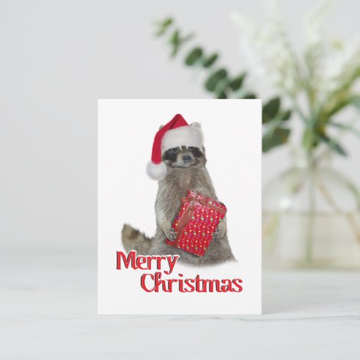 Christmas Bandit Raccoon with Present Holiday Postcard | Zazzle