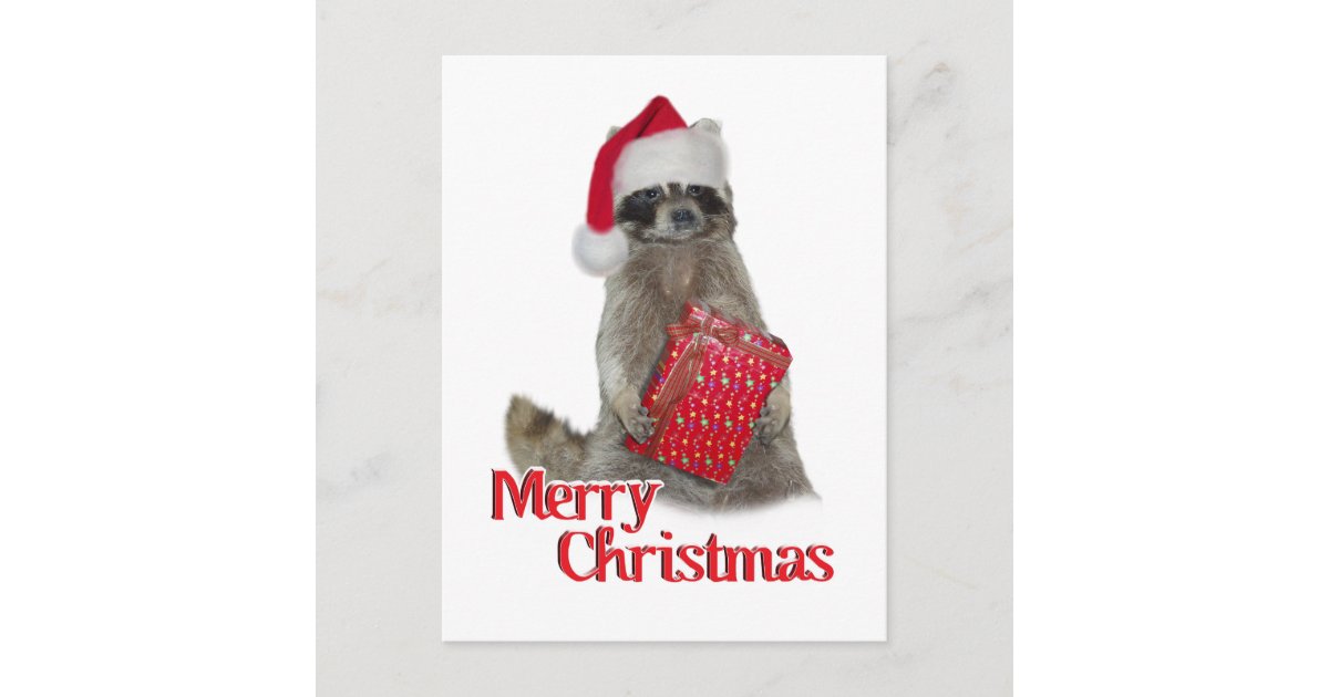Christmas Bandit Raccoon with Present Holiday Postcard | Zazzle