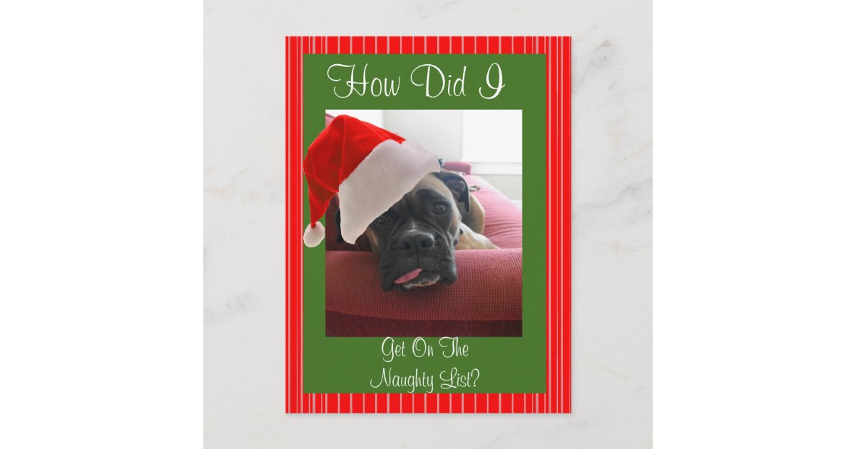 Christmas Boxer Holiday Postcard | Zazzle