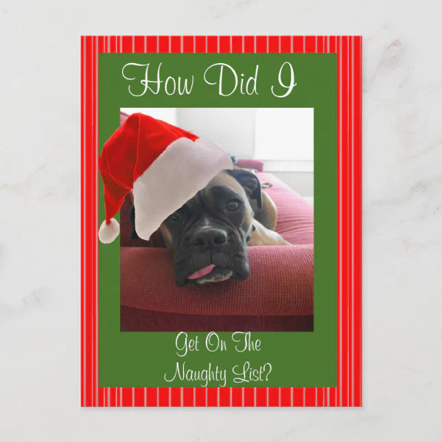 Christmas Boxer Holiday Postcard | Zazzle