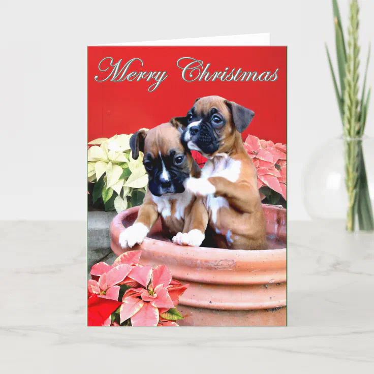 Christmas boxer puppy greeting card | Zazzle