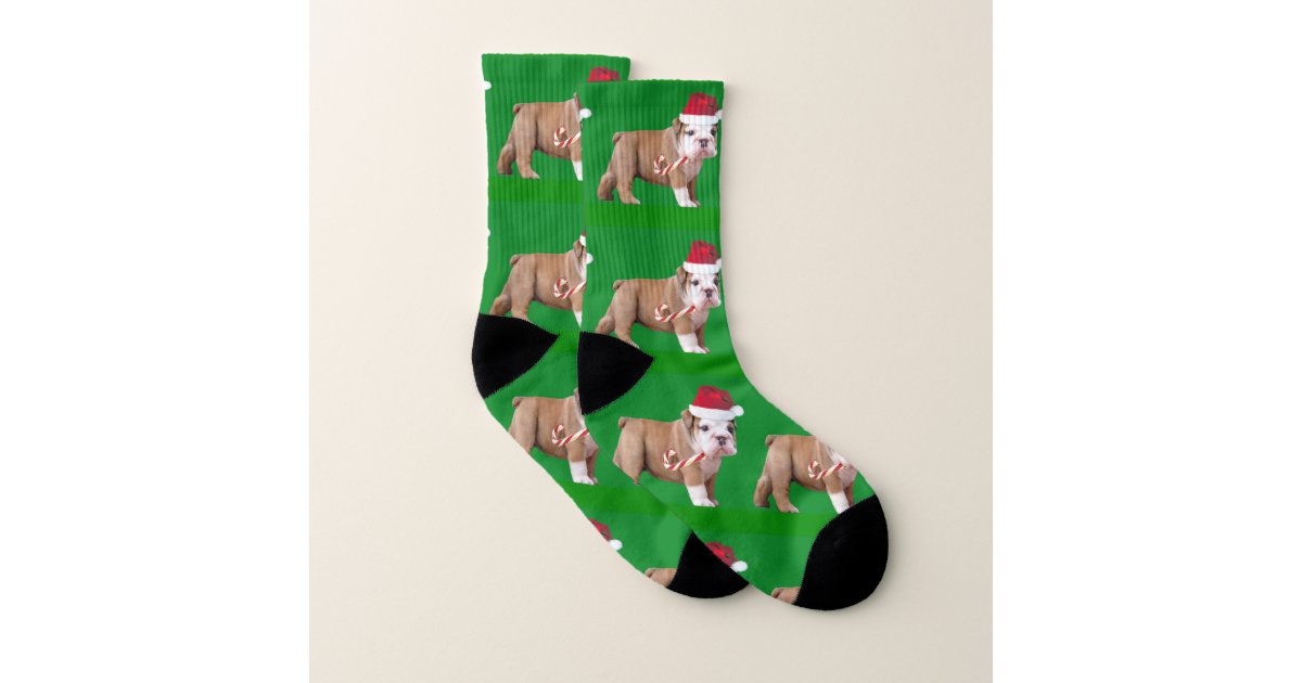 Christmas Bulldog puppy socks | Zazzle