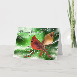 Cardinal Christmas Cards | Zazzle