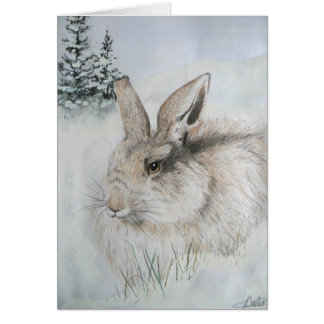 Rabbit Christmas Cards | Zazzle