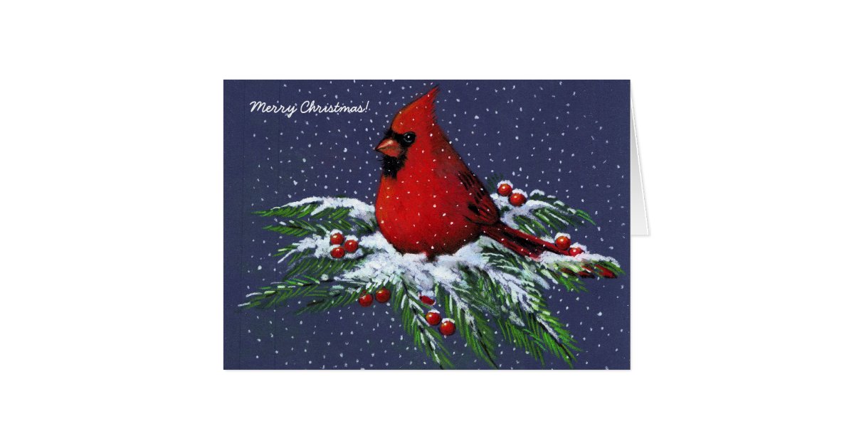 CHRISTMAS: CARDINAL: BIRD: SNOW: CARD | Zazzle.com