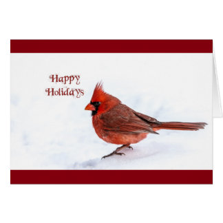 Cardinal Christmas Cards - Greeting & Photo Cards | Zazzle