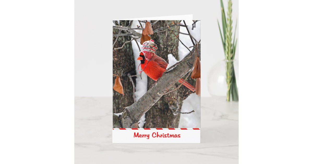 Christmas Cardinal Holiday Card | Zazzle