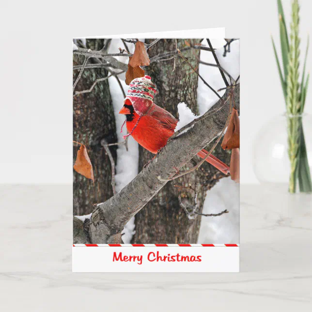 Christmas Cardinal Holiday Card | Zazzle