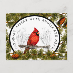 Christmas Cardinal Postcard With Custom Message | Zazzle