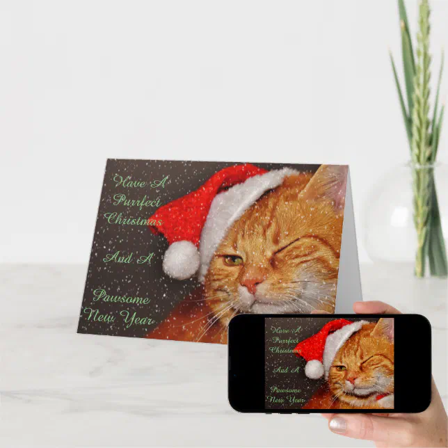 Christmas Cat Card | Zazzle