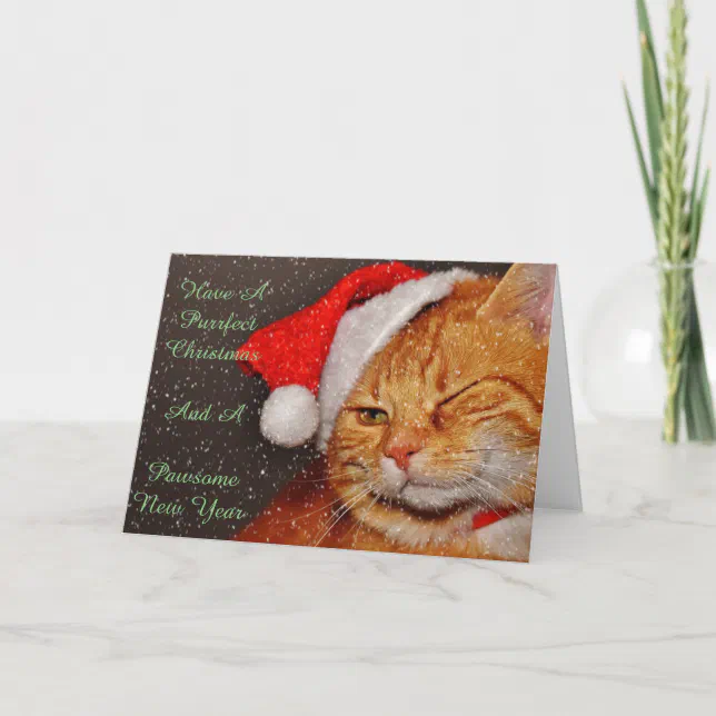 Christmas Cat Card | Zazzle