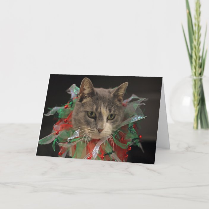 Christmas Cat Holiday Card | Zazzle.com
