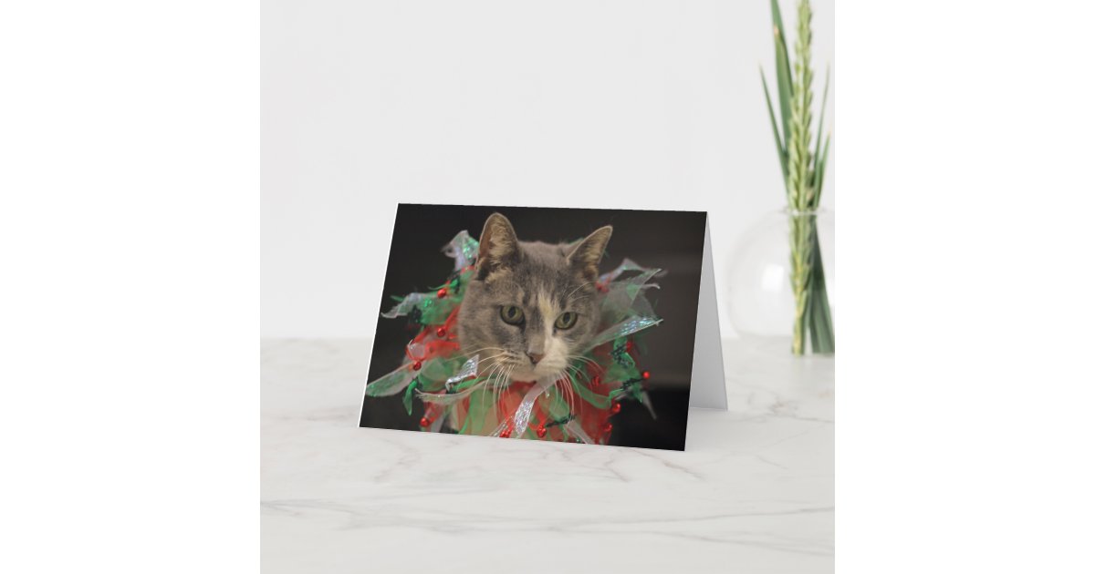 Christmas Cat Holiday Card | Zazzle