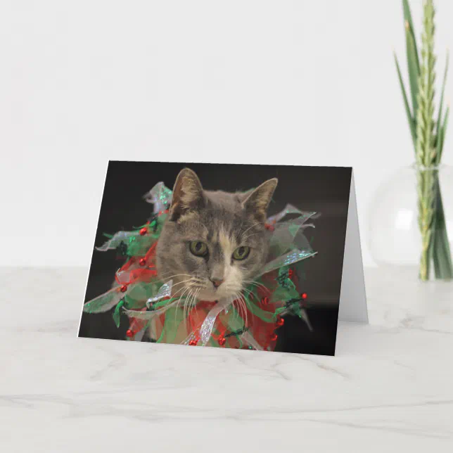 Christmas Cat Holiday Card | Zazzle