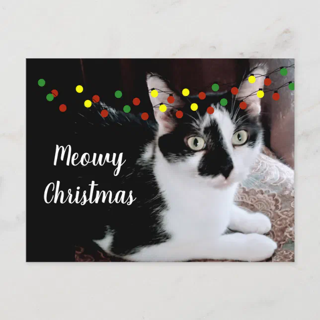 Christmas Cat Holiday Postcard | Zazzle