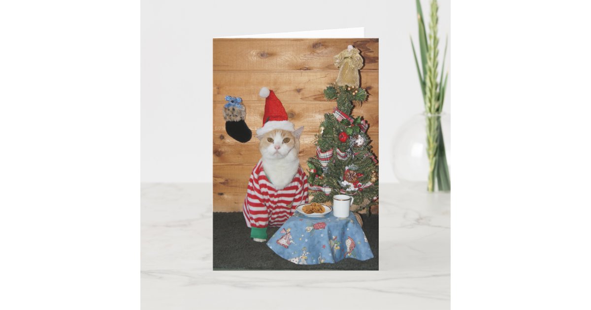 Christmas Cat/Kitty in PJs Holiday Card | Zazzle