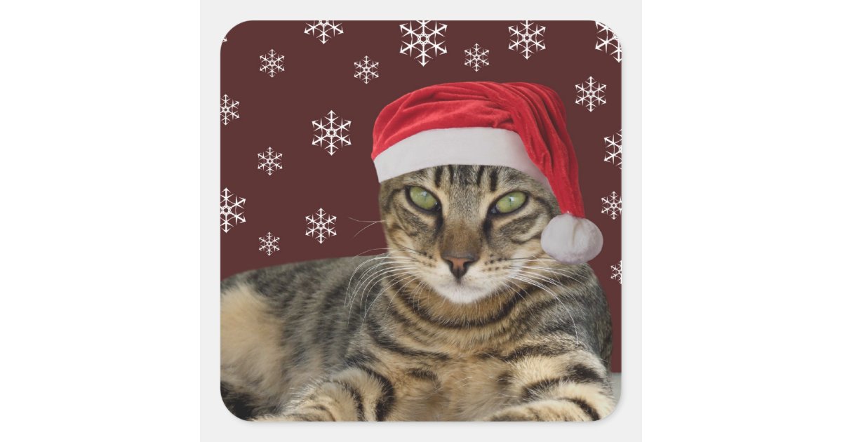 Christmas Cat Stickers | Zazzle