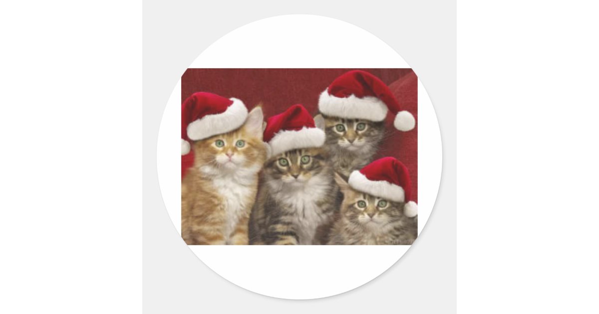 Christmas cats classic round sticker | Zazzle