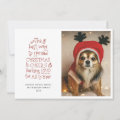 Christmas Cheer Pet Photo Holiday Card | Zazzle
