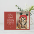 Christmas Cheer Pet Photo Red Holiday Card | Zazzle