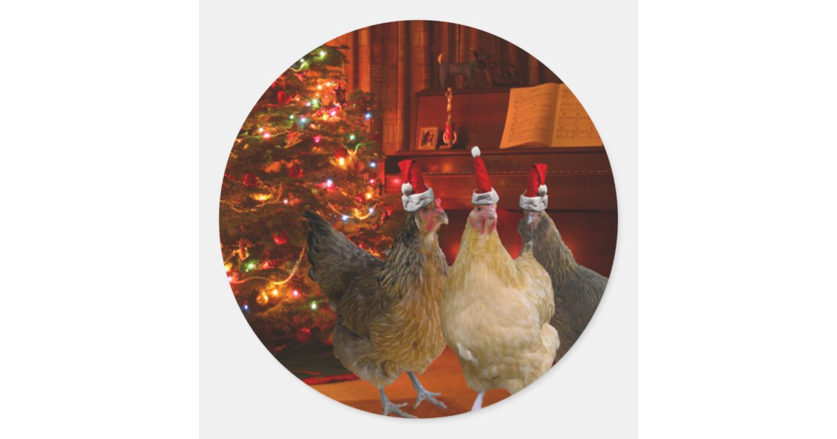 Christmas Chickens Classic Round Sticker | Zazzle