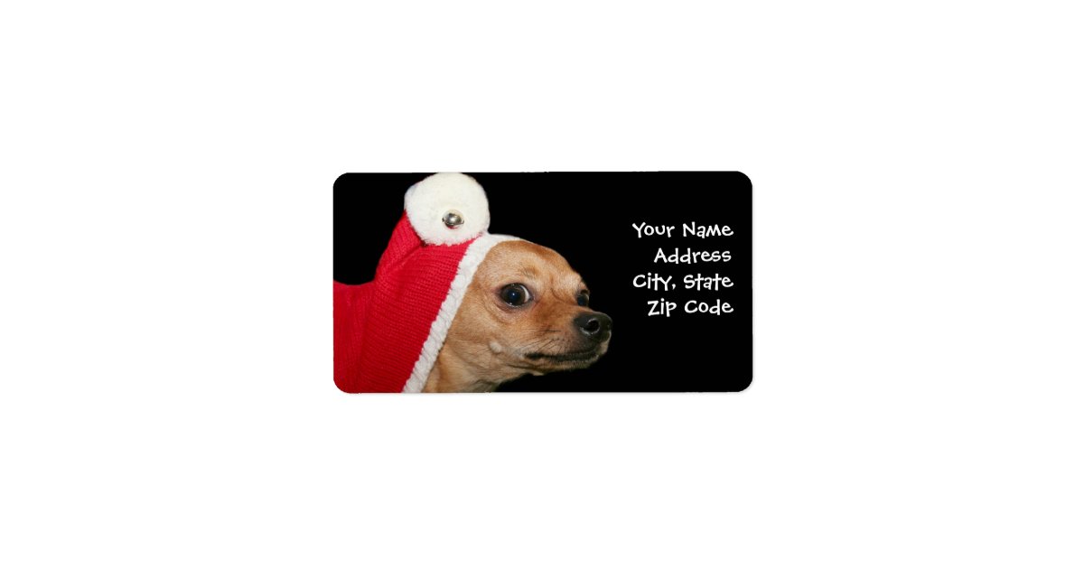 Christmas chihuahua dog address labels | Zazzle