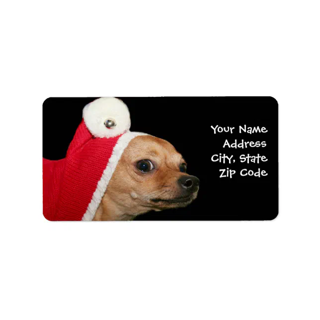 Christmas chihuahua dog address labels | Zazzle