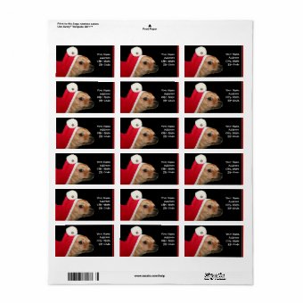 Christmas chihuahua dog address labels | Zazzle