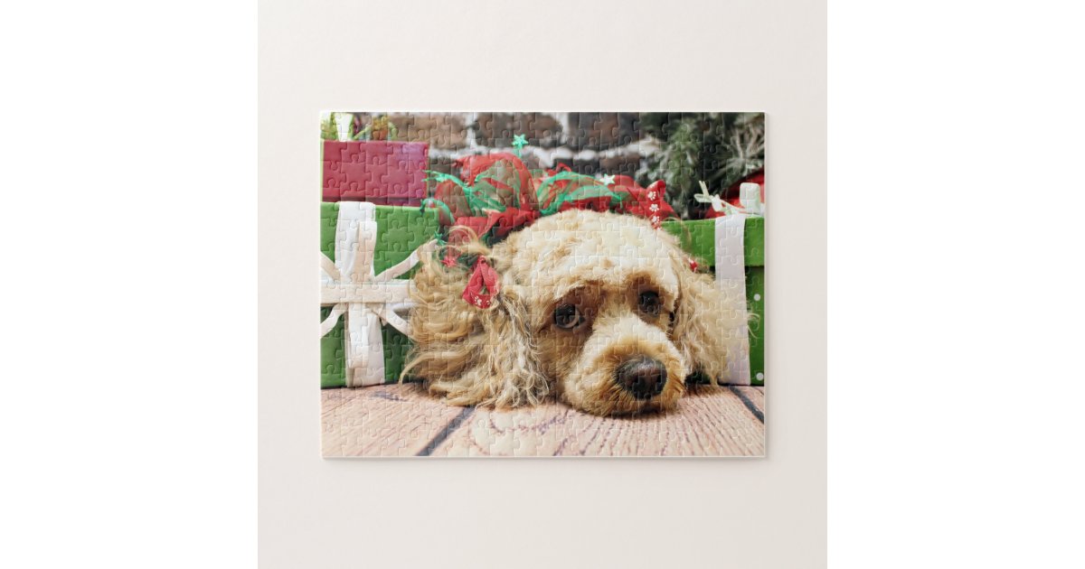 Christmas - Cockapoo - Ruby Jigsaw Puzzle | Zazzle
